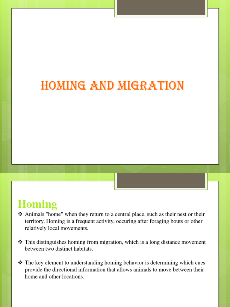 Homing and Migration | PDF | Bird Migration | Honey Bee