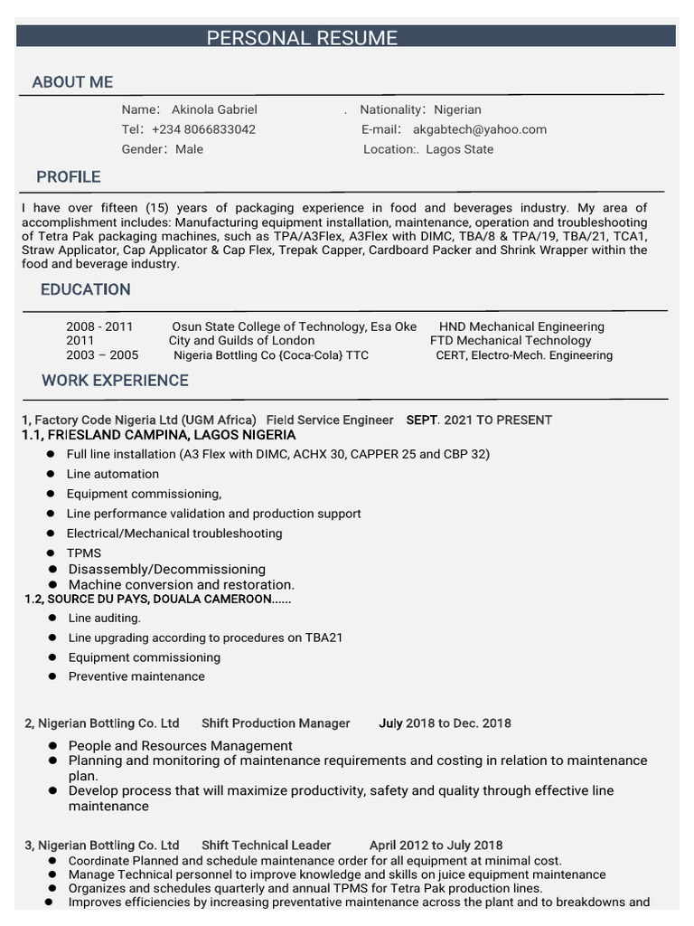 Akinola Gabriel CV | Download Free PDF | Engineering