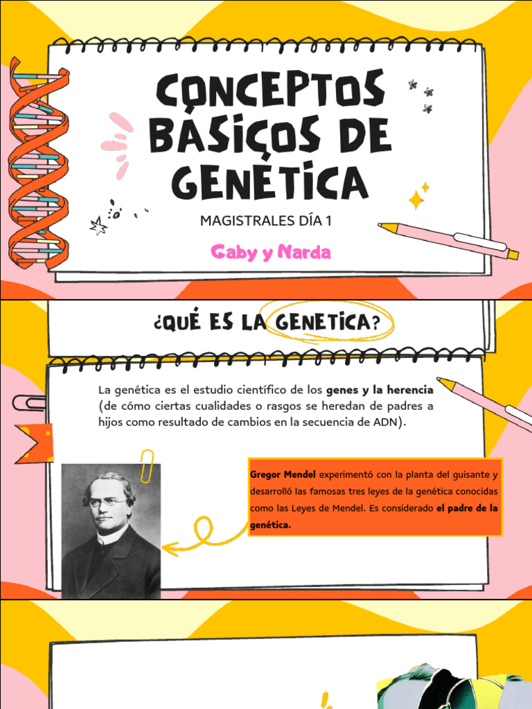Conceptos Basicos 1 | PDF | Cigosidad | Alelo
