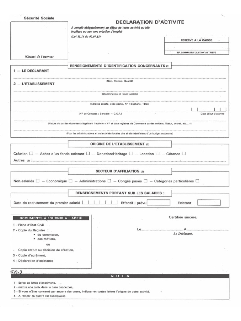 Declaration Activite 1 Noir | PDF