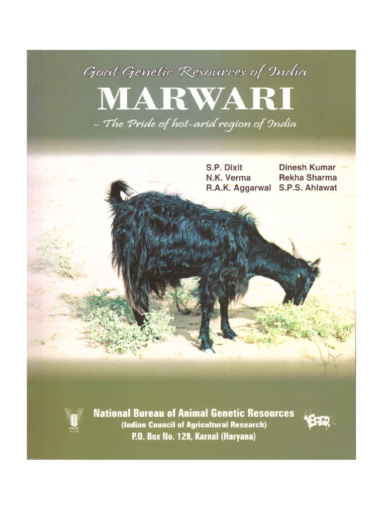 Marwari Goat | PDF