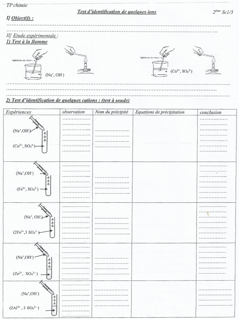 Test Identification | PDF