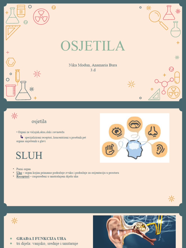 Osjetila | PDF