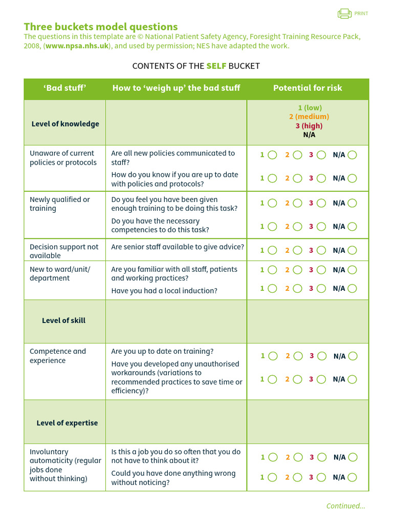 3 Bucket Model Template Final | PDF | Stress (Biology)