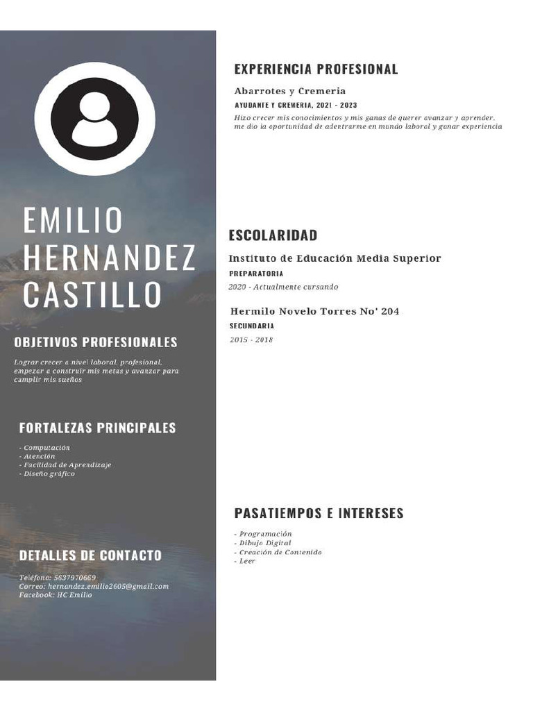 CV Emilio | PDF
