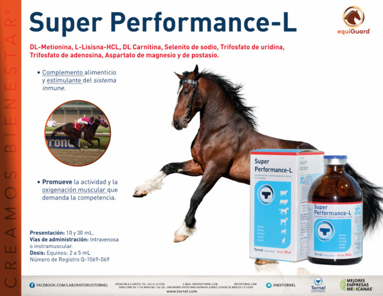 Super Performance L | PDF