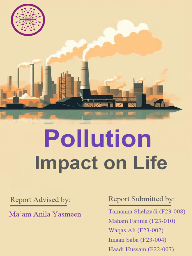 Research Report | PDF | Survey Methodology | Air Pollution