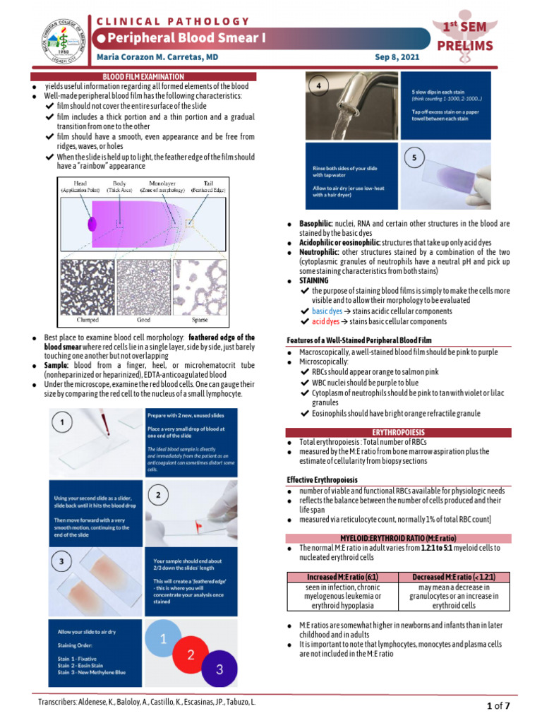 Clinical Pathology - Peripheral Blood Smear - Part 1 (Dr. Carretas ...