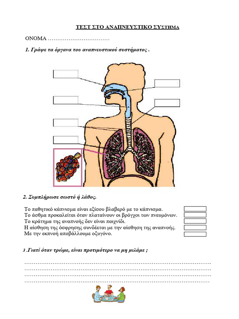ΤΕΣΤ ΣΤΟ ΑΝΑΠΝΕΥΣΤΙΚΟ ΣΥΣΤΗΜΑ | PDF