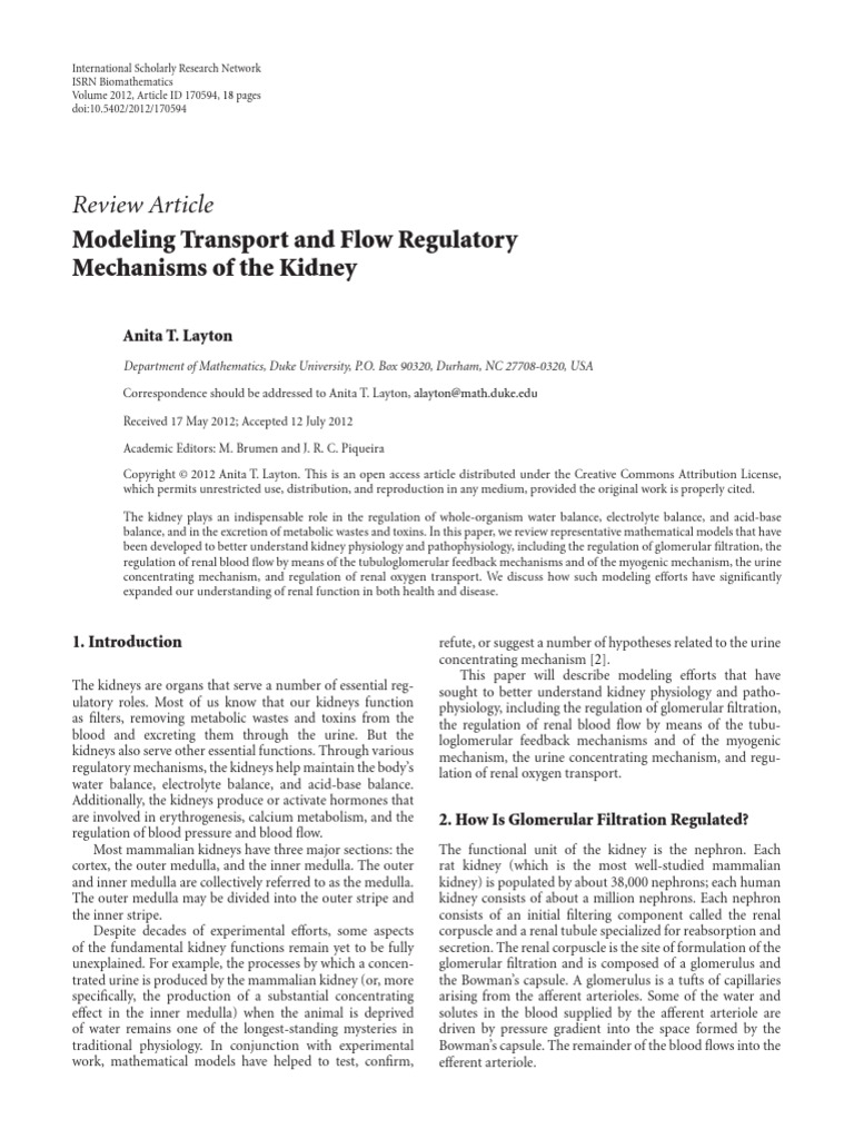 Review Article: Modeling Transport and Flow Regulatory Mechanisms of The Kidney | PDF | Kidney ...