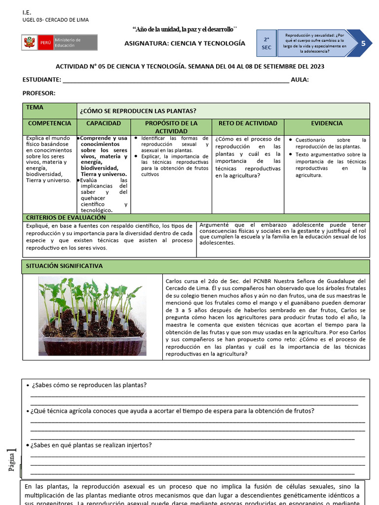 2° SEC. EDA 5 SEMANA 5 Explica CYT 2023 Cómo se reproducen las plantas | PDF | Flores | Espora