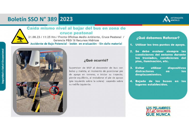 Boletin SSO N°389 | PDF