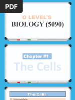 Onion Cell and Cheek Cell Lab | PDF | Cell (Biology) | Anatomy