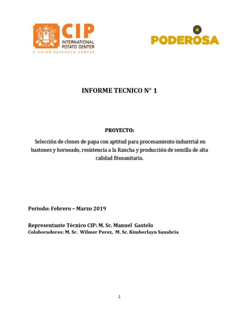 Informe - Tecnico - N - 1 - Feb - Mar - 2019 - 1391 - MIP0 - 1 - (2019 - Technical - Report ...