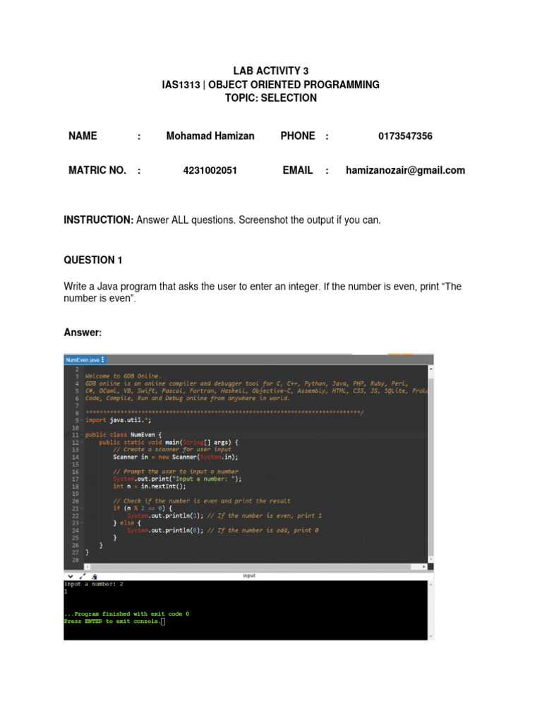 Lab Activity 3 Question Pdf Computer Programming Computer Engineering 3990