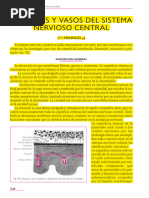 El Saco Dural Humano | PDF | Médula espinal | Anatomía