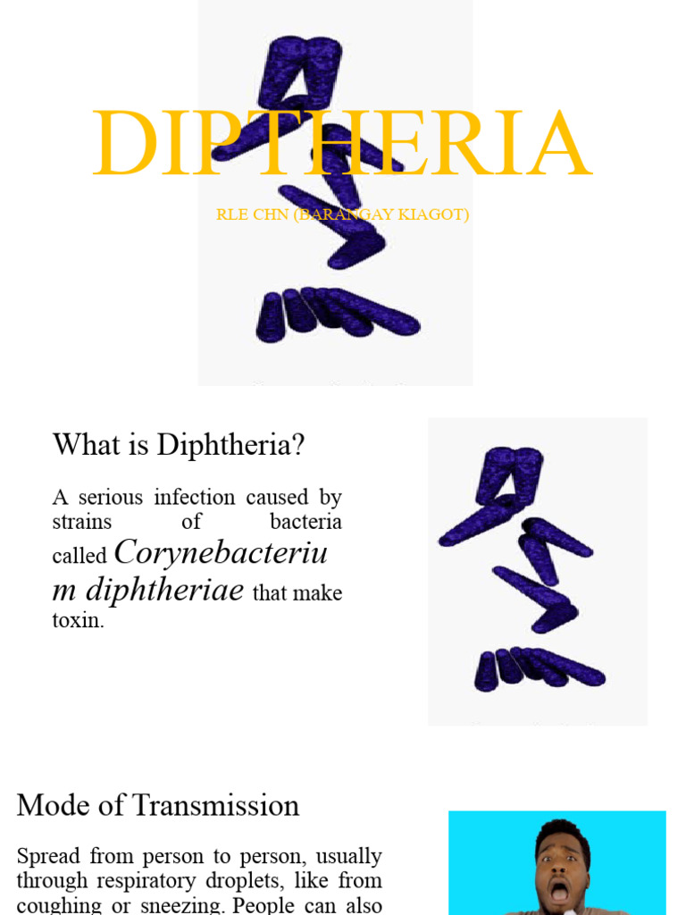 Understanding Diphtheria: Symptoms & Treatment | PDF | Self-Improvement ...
