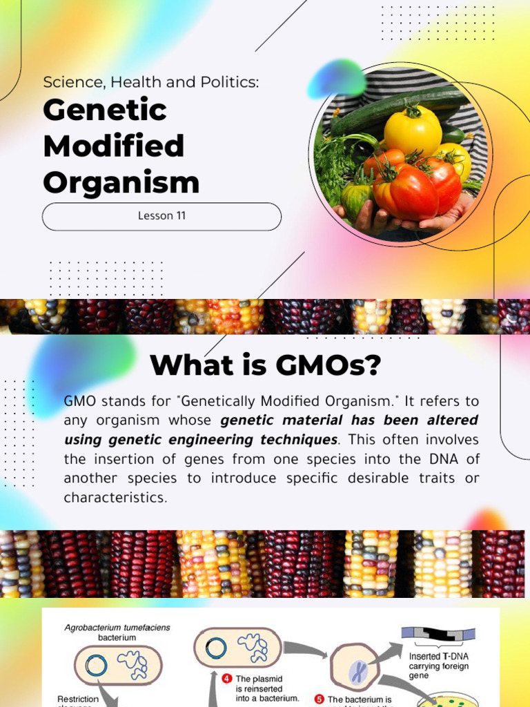 STS Topic 11 GMOs | PDF | Genetically Modified Organism | Genetic ...