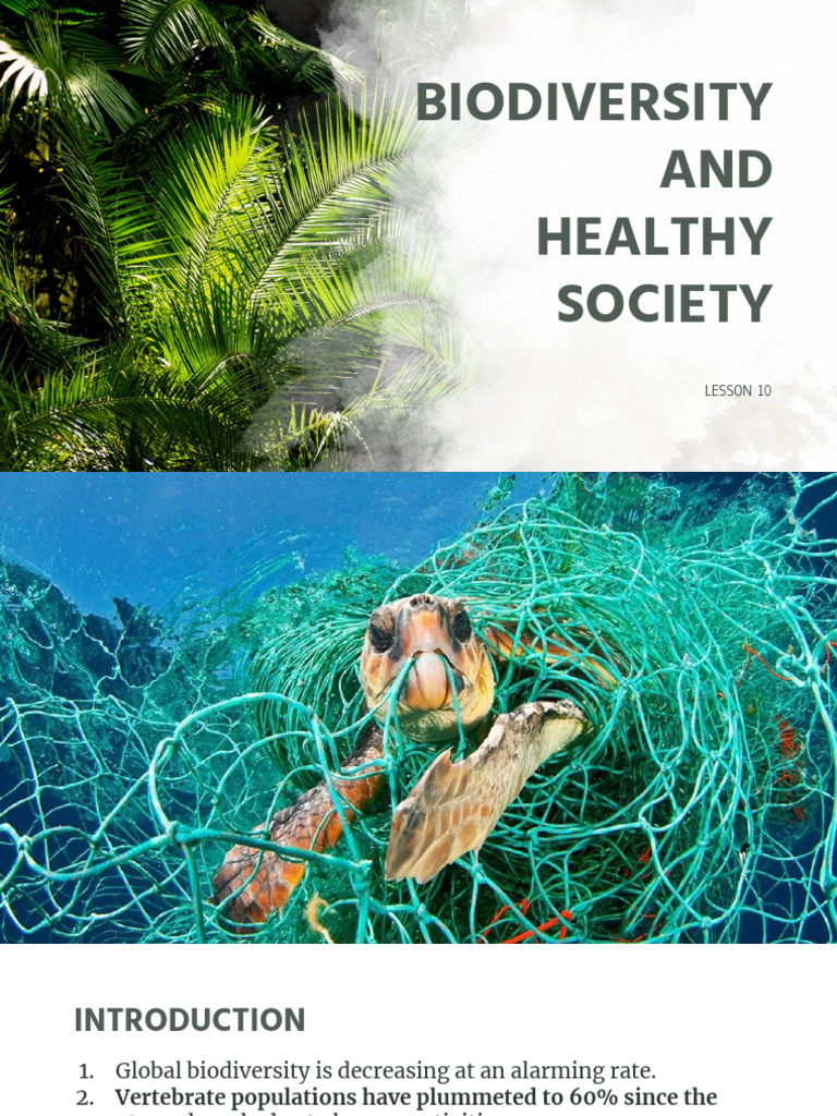 STS Topic 10 Biodiversity and Healthy Society | PDF | Biodiversity | Ecosystem