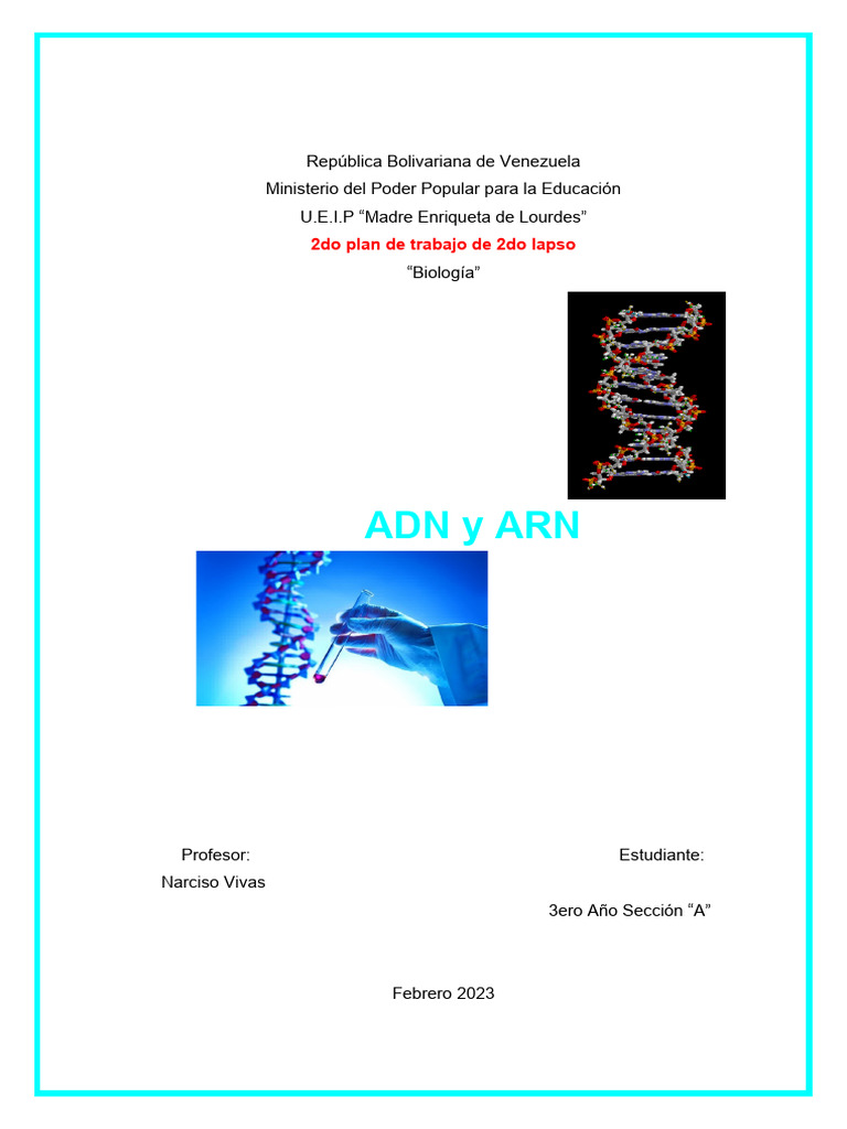 ADN y ARN | PDF | Adn | Rna