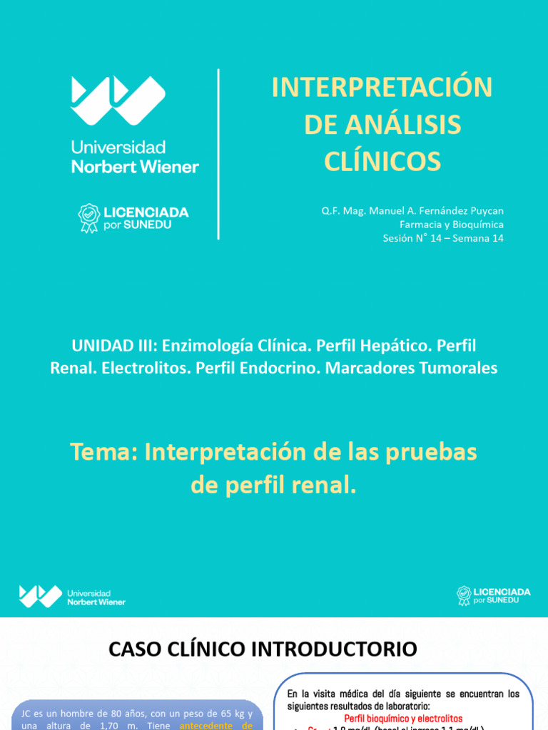 SEMANA 14 Interpretación de Las Pruebas de Perfil Renal | Descargar ...