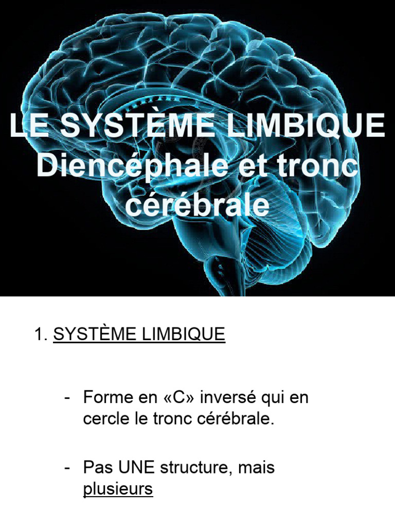 Cours 13 Version Du 4 Décembre 2023 | PDF | Système limbique | Cerveau