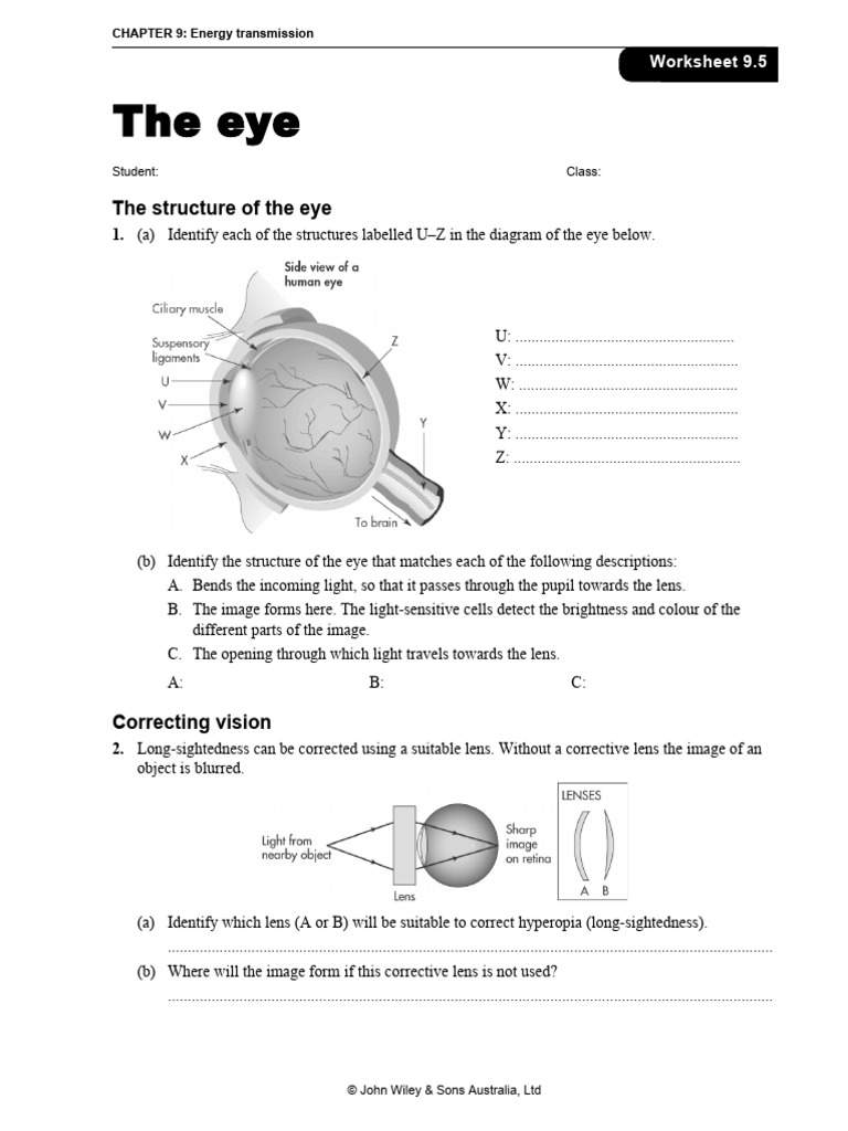 Eye Worksheet | PDF | Eye | Electrodynamics