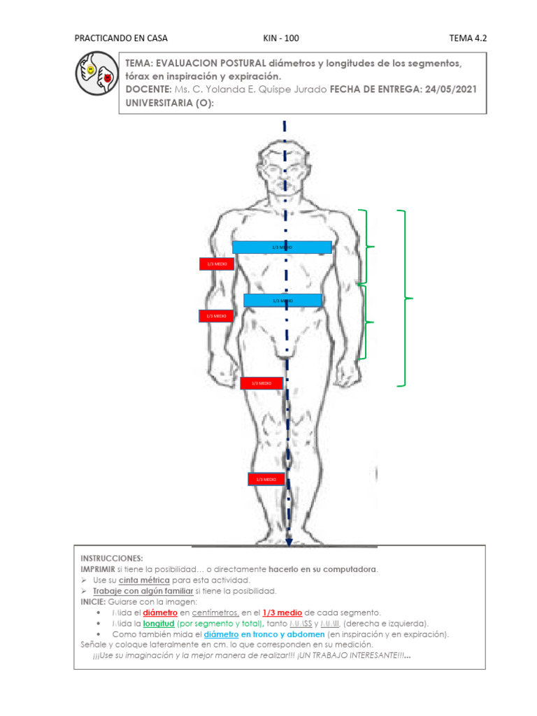 ACTIVIDAD PRACTICA T4.2 (1) | PDF