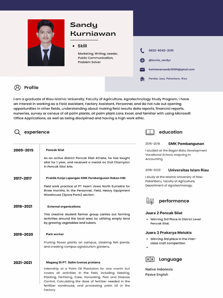 CV Sandy English | PDF