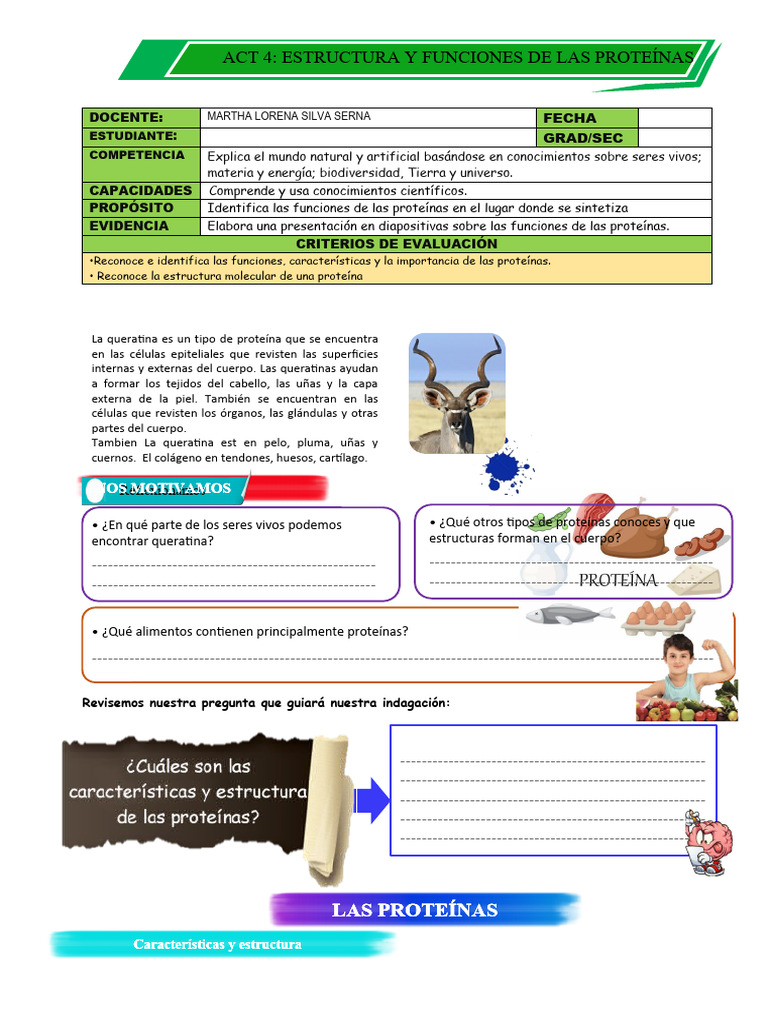 C-3º Act 4 Cyt Und 7 | PDF | Proteínas | Estructura proteica