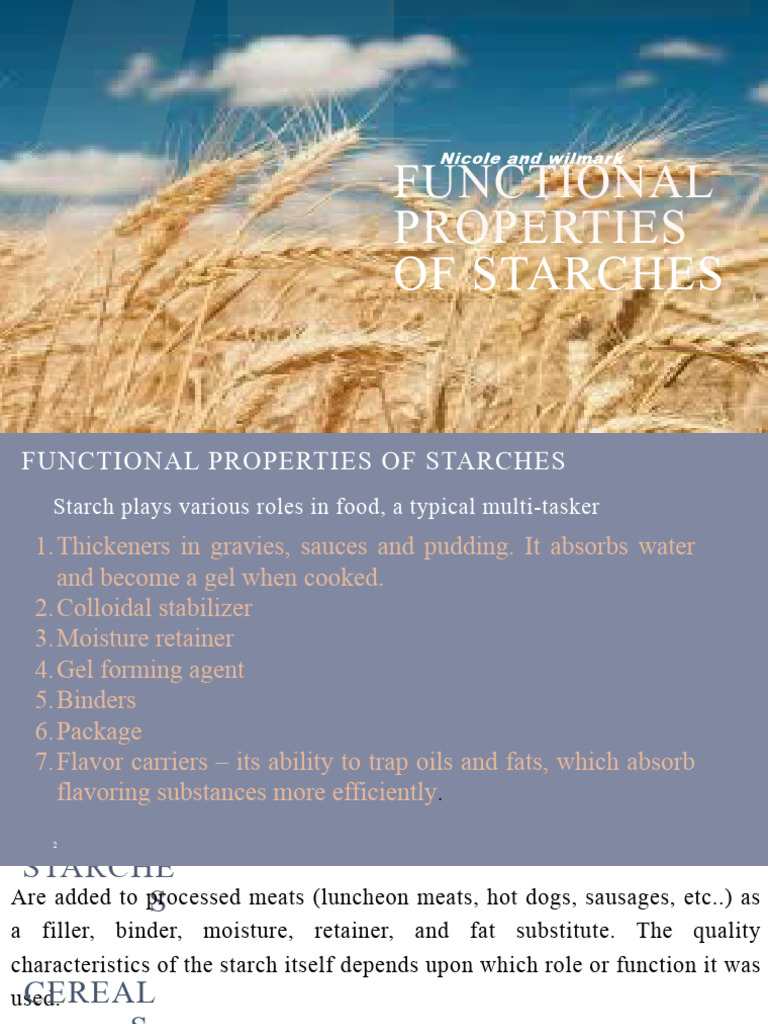 Functional Properties of Starches | PDF | Pasta | Foods