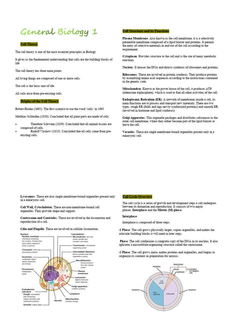 General Biology 1 | Download Free PDF | Mitosis | Cell (Biology)