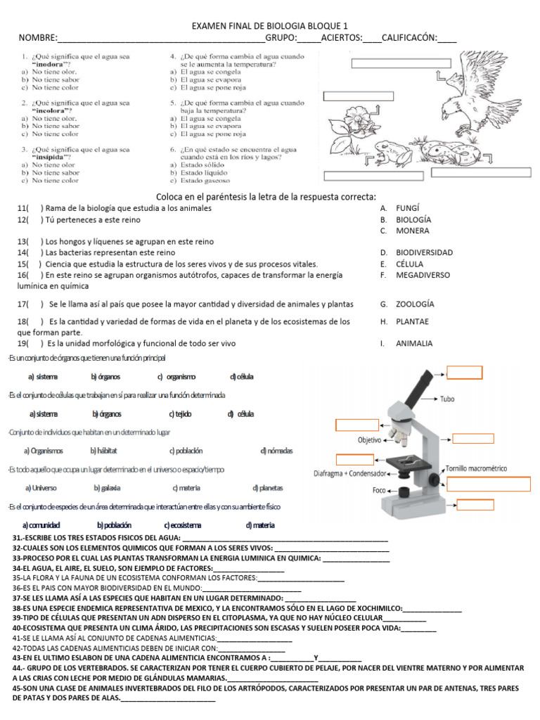 Examen Final de Biologia Bloque 1 | PDF | Plantas | Biología