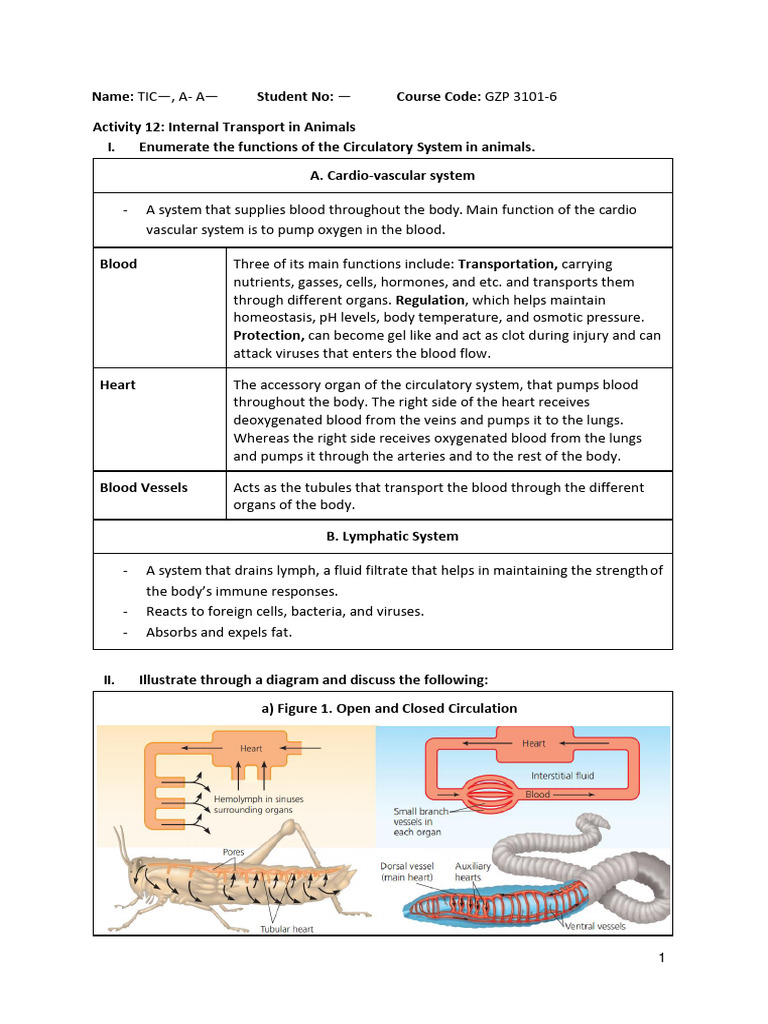 Genzoo Circulatory System | PDF | Heart | Blood