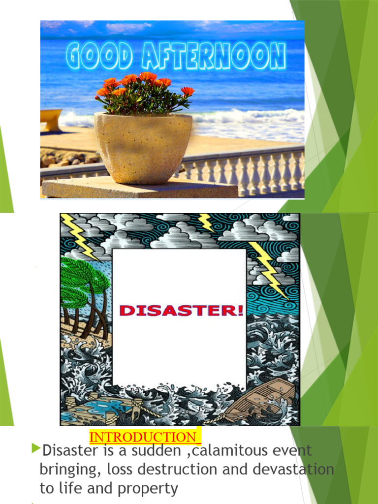 Types and Effects of Disasters | PDF | Natural Disasters | Hazards
