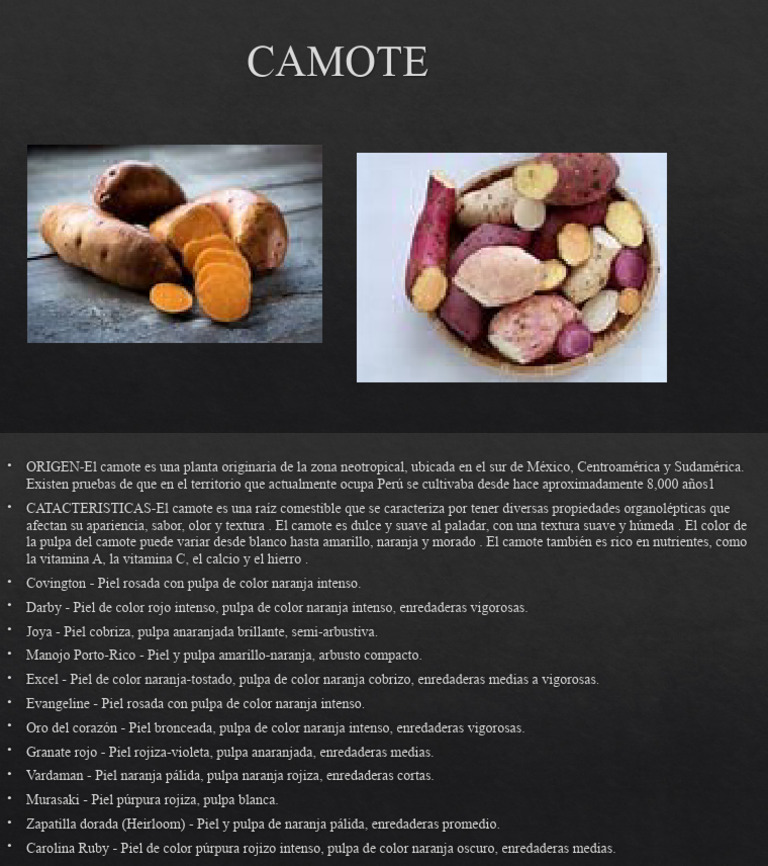 CAMOTE | PDF