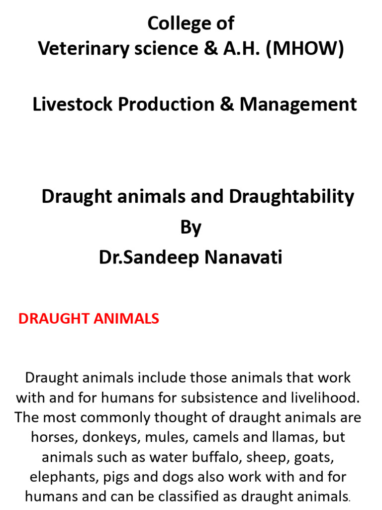 Draught Animals | PDF | Agriculture | Animals And Humans