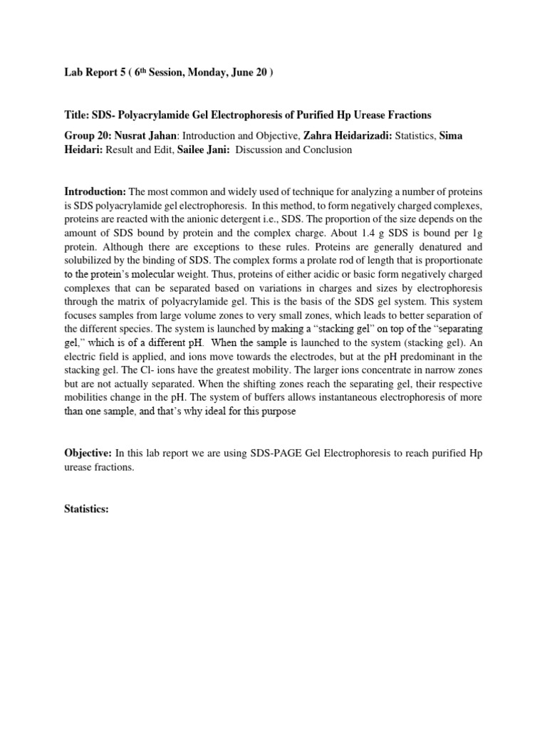 Lab Report 5 | PDF | Gel Electrophoresis | Polyacrylamide Gel Electrophoresis
