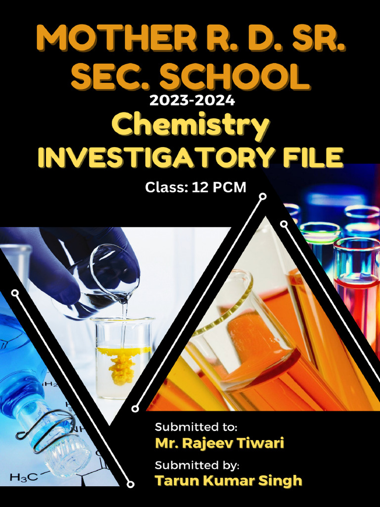 My Investigatory File | PDF