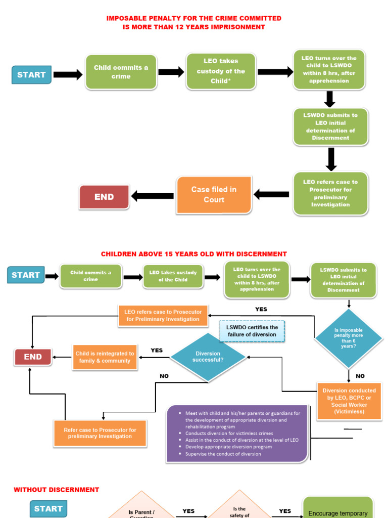 Cicl Discernment | PDF | Child Custody | Criminal Law