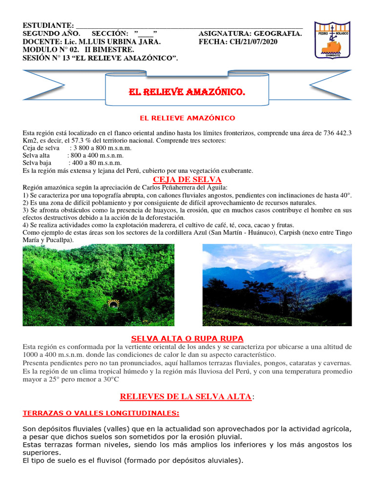 EL RELIEVE AMAZÓNICO | PDF | Paisaje | Geomorfología