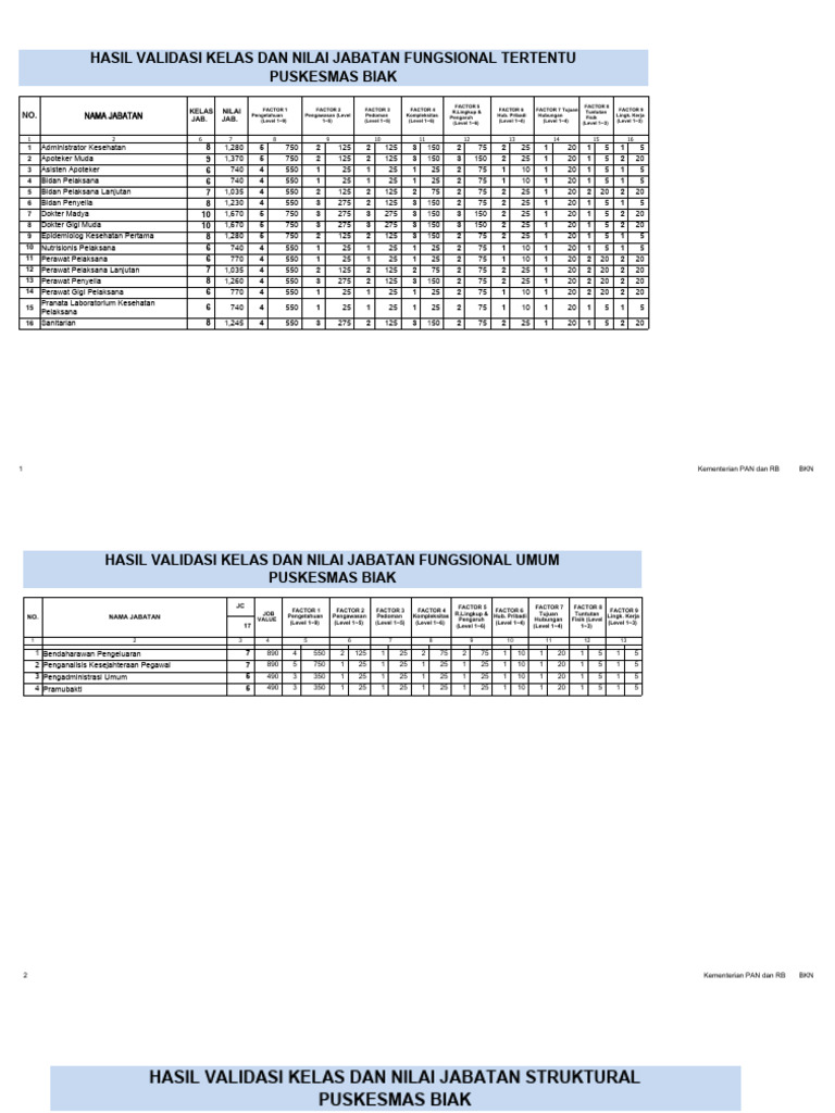 Validasi Kelas Jabatan Fungsional | PDF