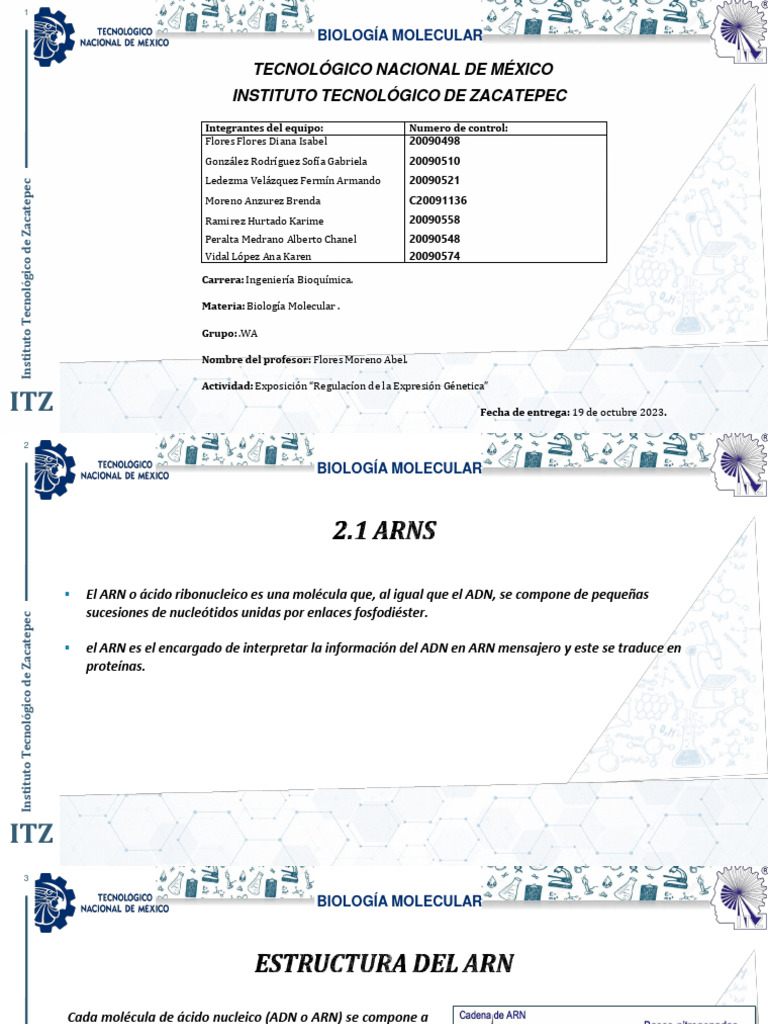 Exposicion TEMA 2 Biologia Molecular | PDF | Rna | La expresion genica