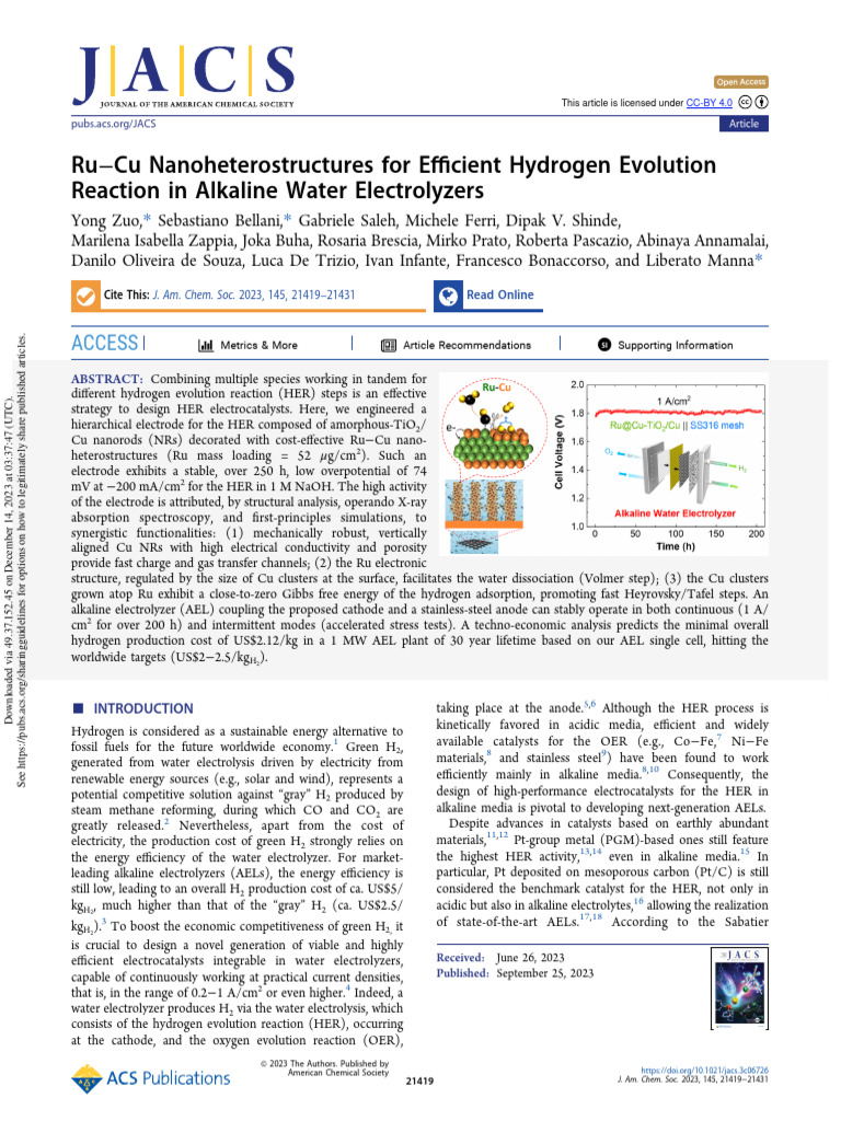 nanoheterostructures-for-efficient-hydrogen-evolution-reaction-in-alkaline-water-electrolyzers ...