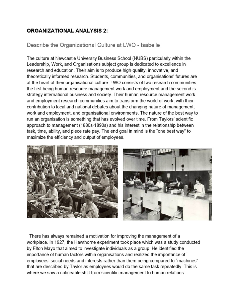 _ Org Analysis 2 | PDF | Organizational Culture | Leadership