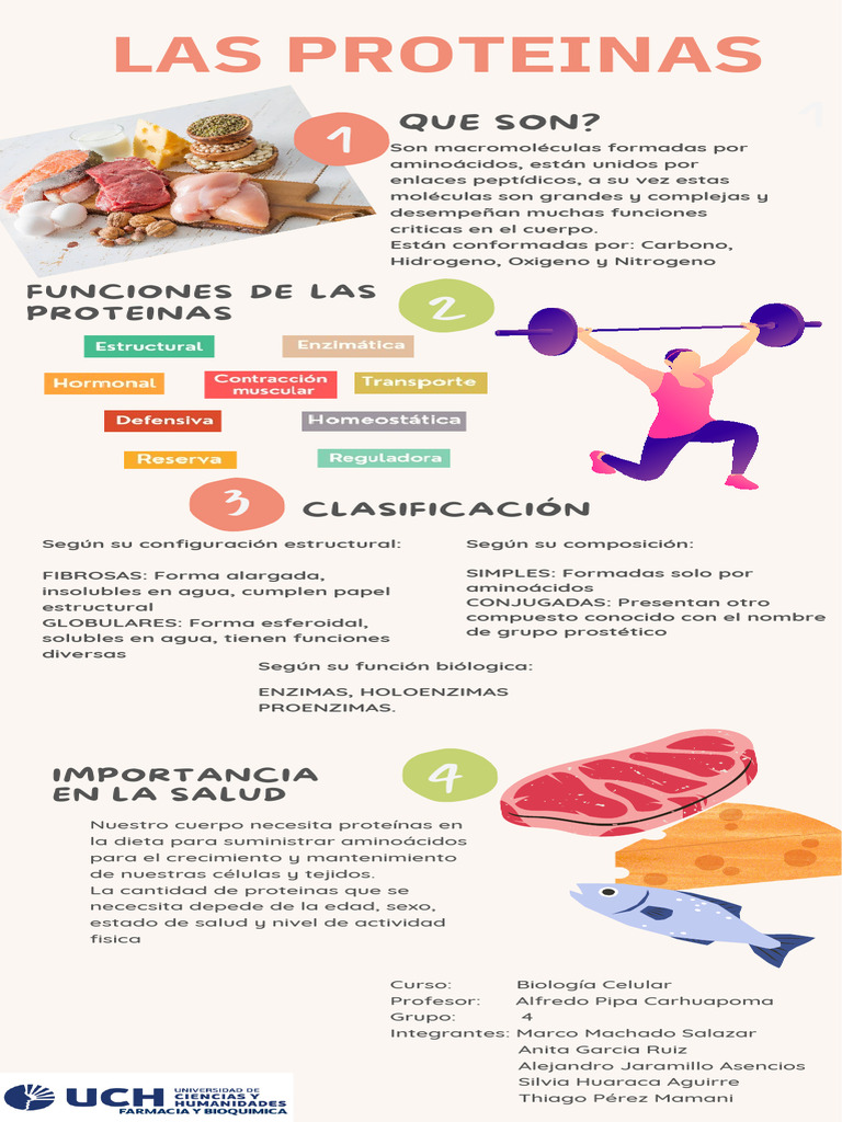 Infografía Proteinas.pdf | PDF