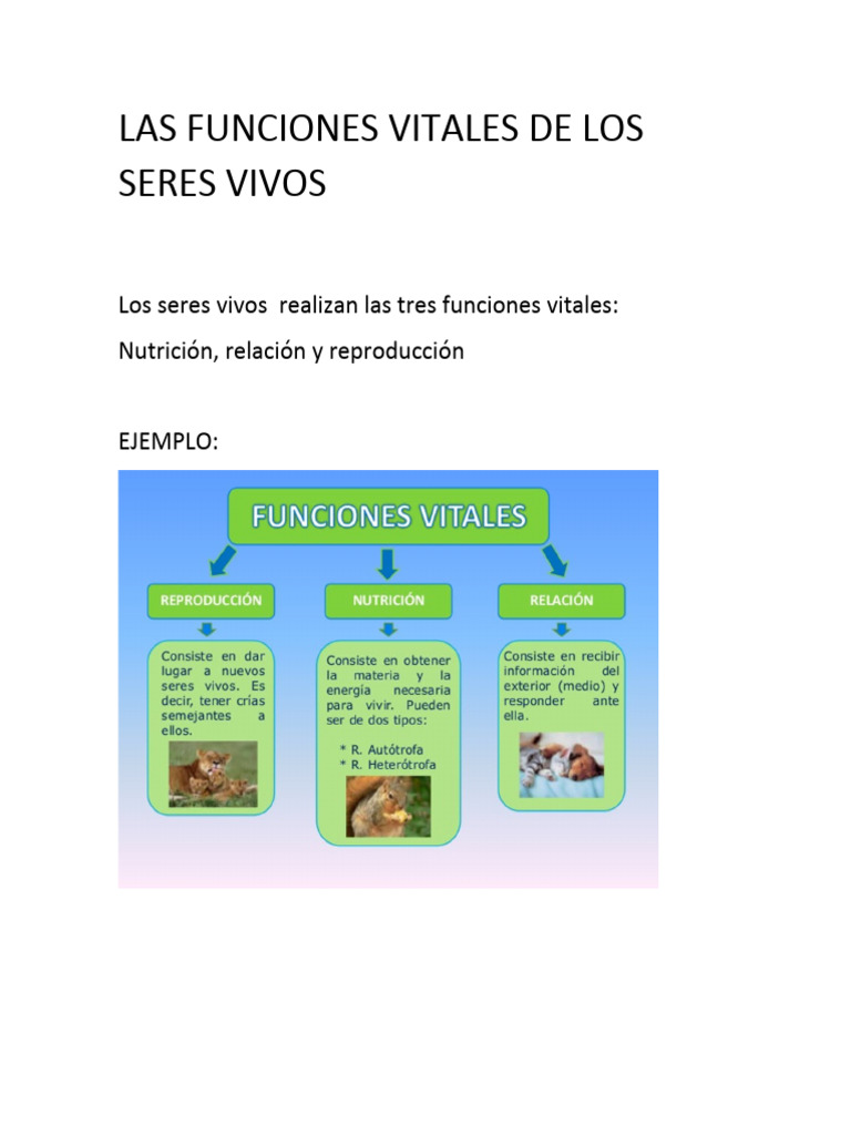 Funciones Vitales de los Seres Vivos | PDF