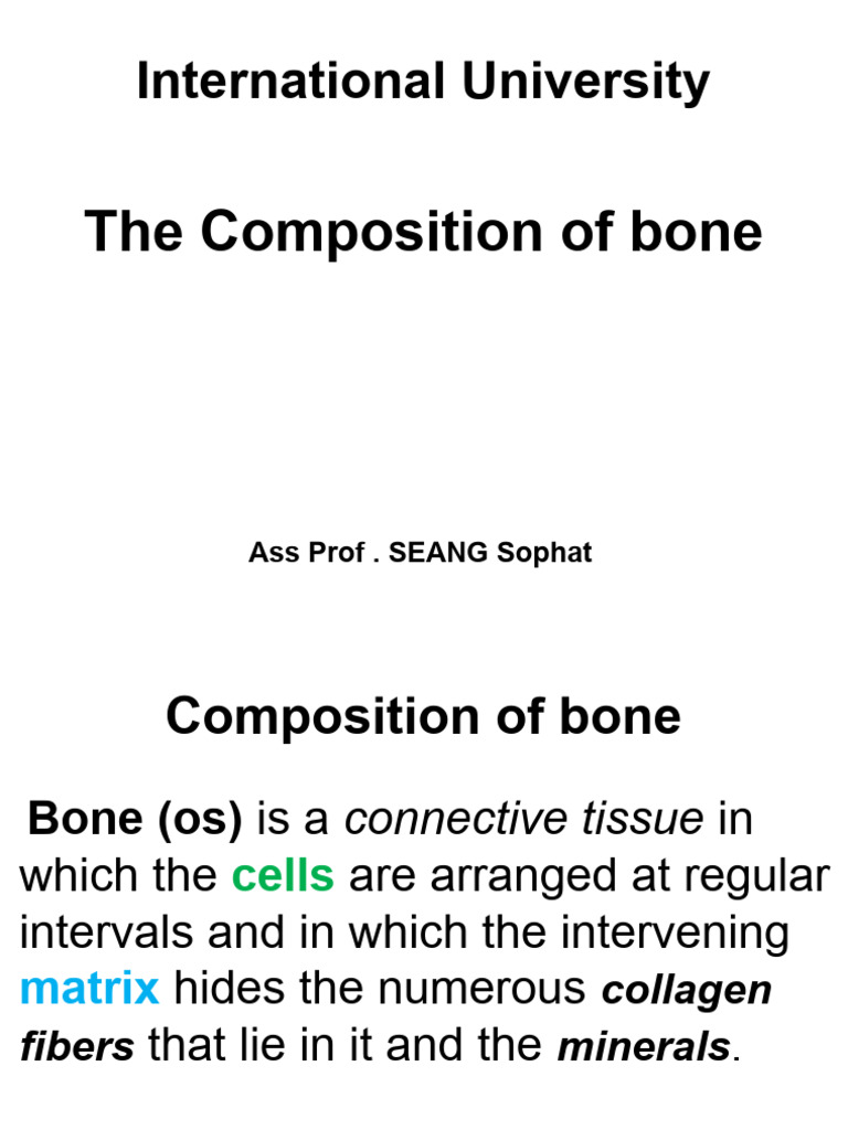 Bone Composition Overview | PDF | Bone | Osteoblast