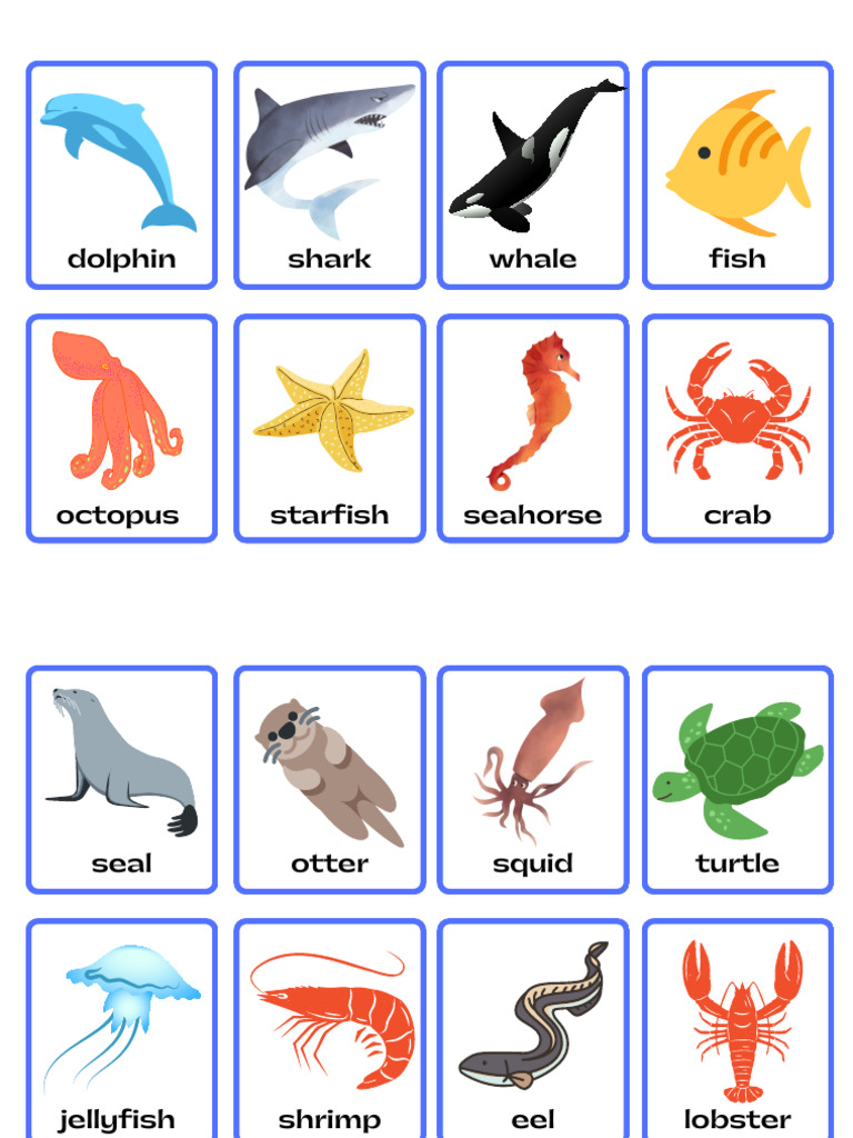 Sea Animals Flashcards | PDF | Social Science