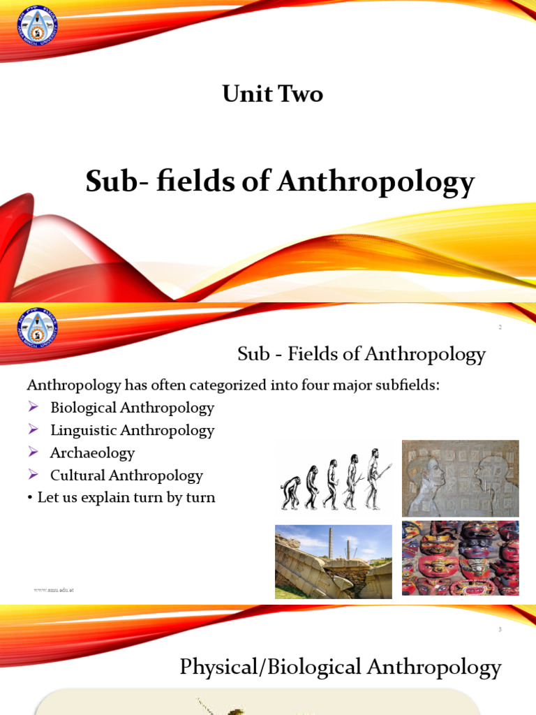 Anthro 2ppt | Download Free PDF | Anthropology | Race (Human ...
